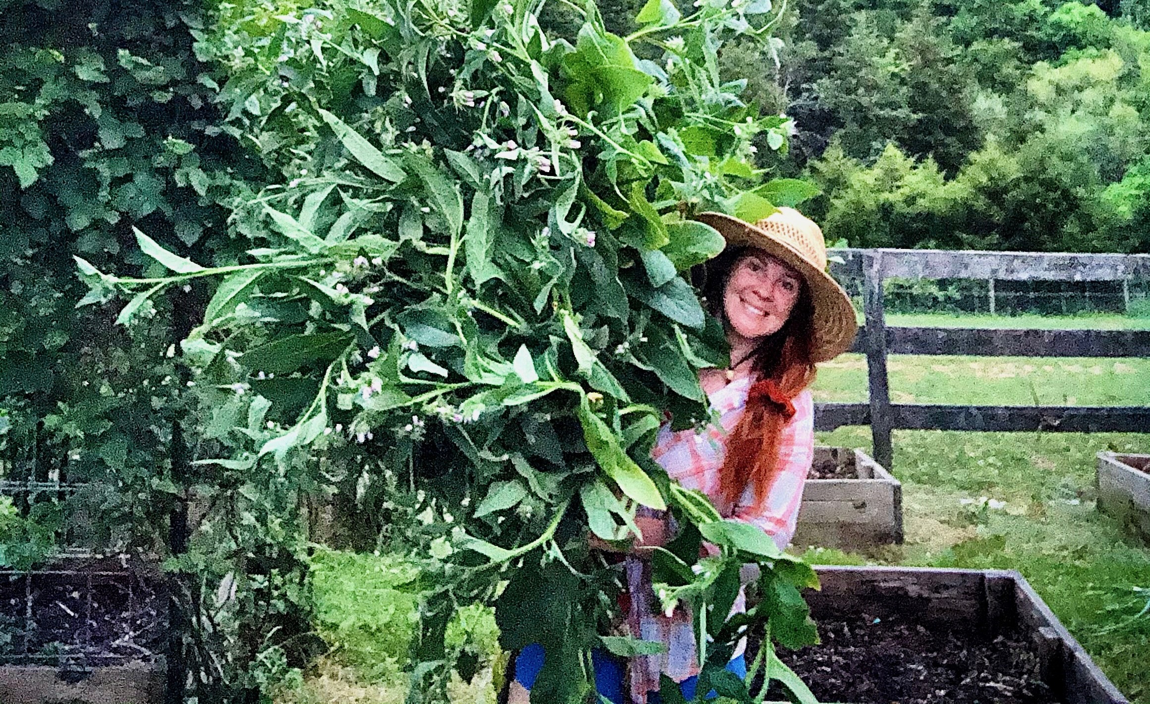 DIY Fertilizer Browning s Homestead